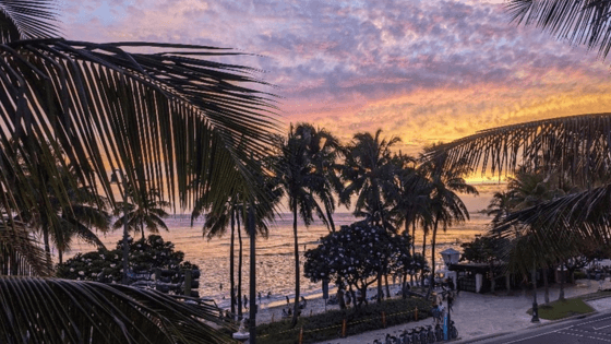 Where In the World is Censis: Jill Sweeney Visits Hawaii